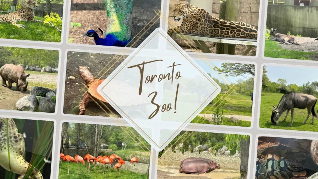 Toronto Zoo - A befitting life